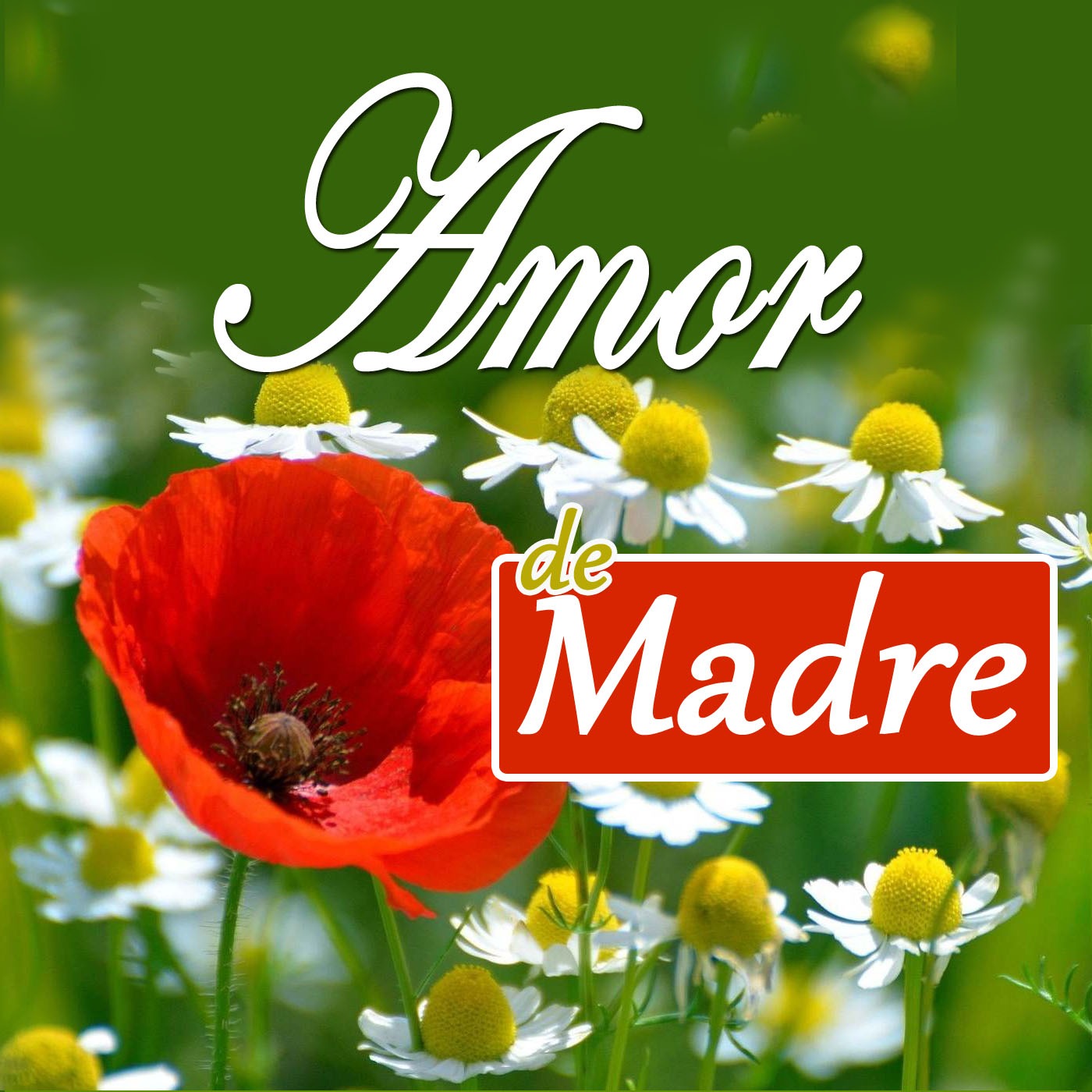 Amor De Madre Gladys Arce